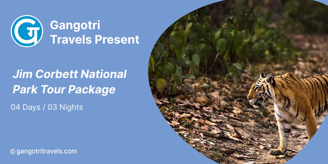 Affordable Jim Corbett National Park Tour Packages