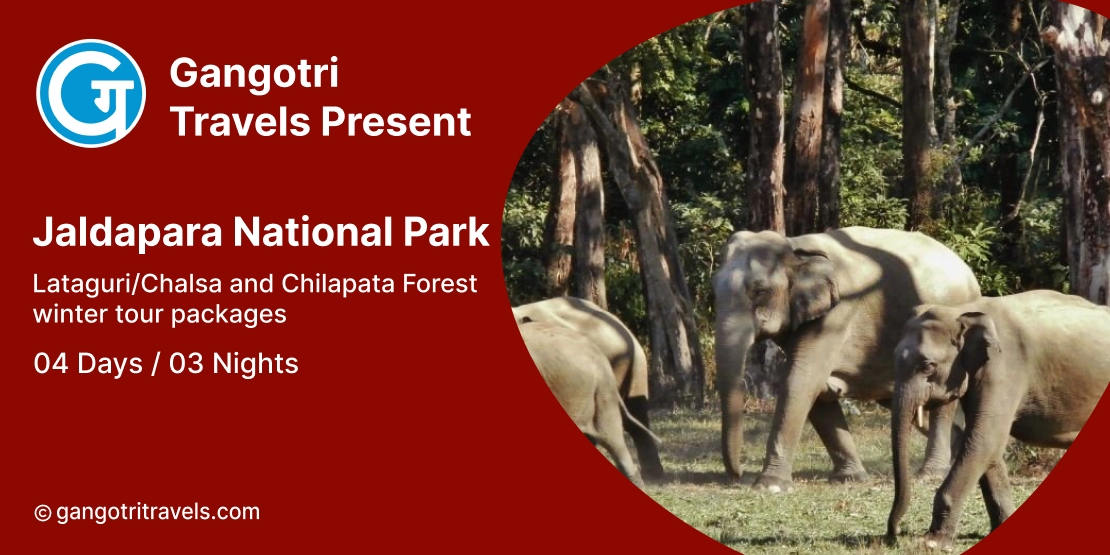 Jaldapara National Park- Chilapata Jungle Safari Tour Package: 3 Nights ...